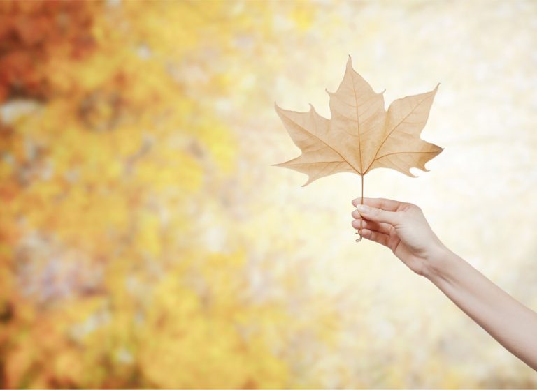 Mindfulness clinica: MBSR e MBCT, evidenze e cautele